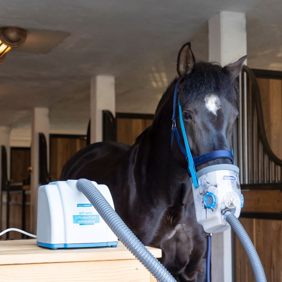 Hippomed Air One – Pferdeinhalator mit Ultraschall-Vernebler
